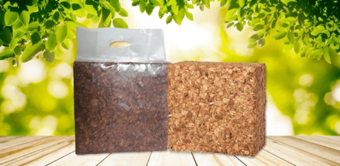 Landscaping Horticulture From India - Trellis Horticulture