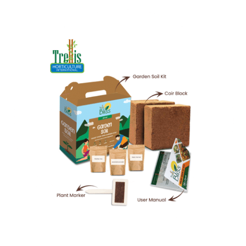 DIY Gardening Kits | Grow Microgreens, Veggies & More